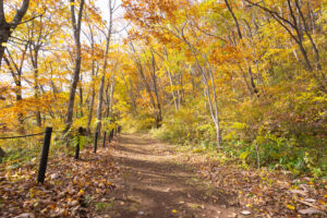 Mt. Zao - The Hidden Japan