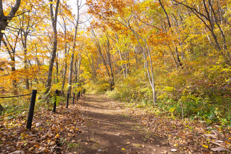 Mt. Zao - The Hidden Japan