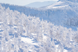 Mt. Zao - The Hidden Japan