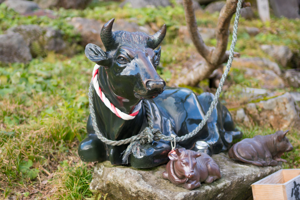 Mt. Yudono - The Hidden Japan