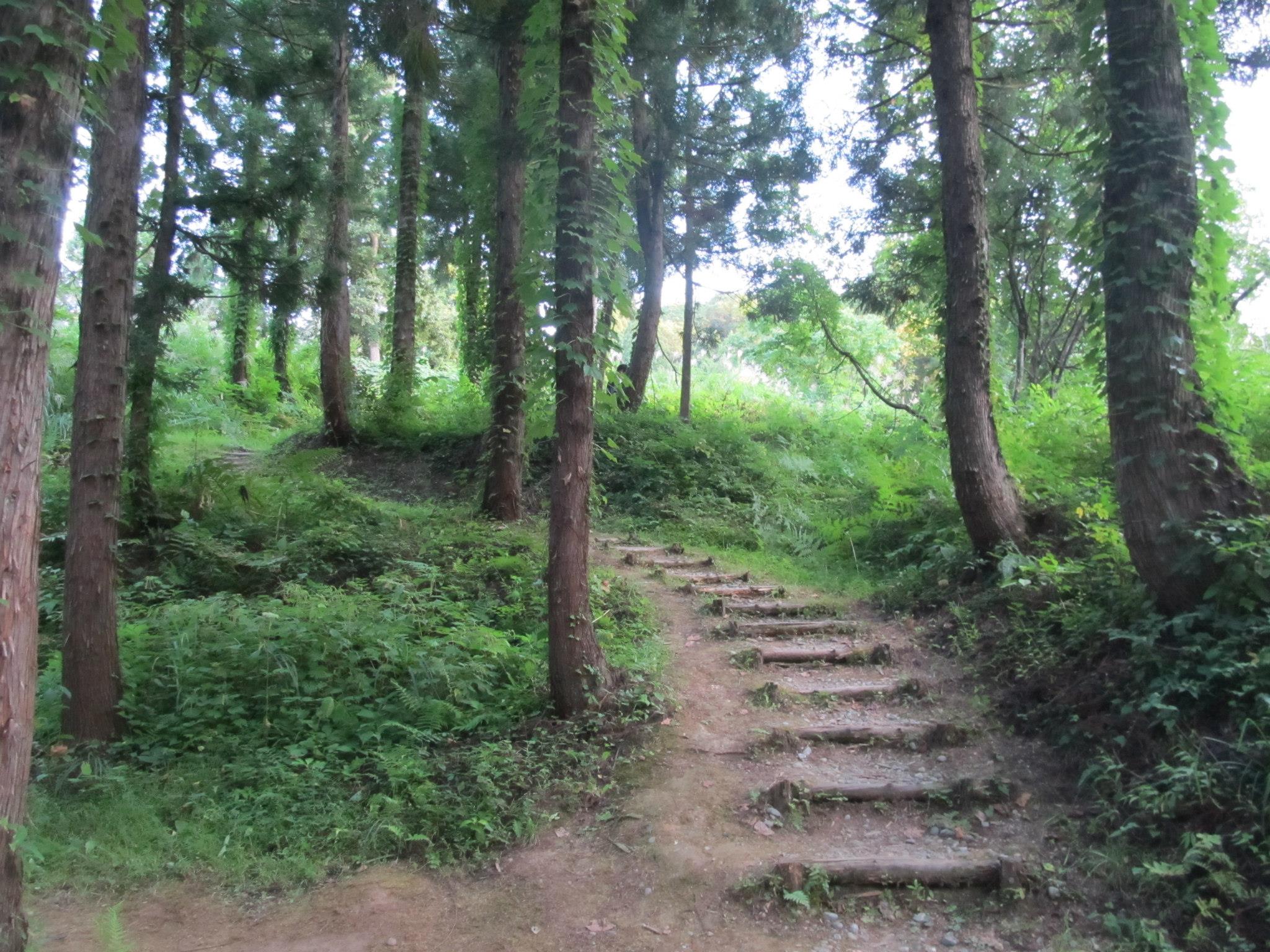 Echigo-Tsumari - The Hidden Japan
