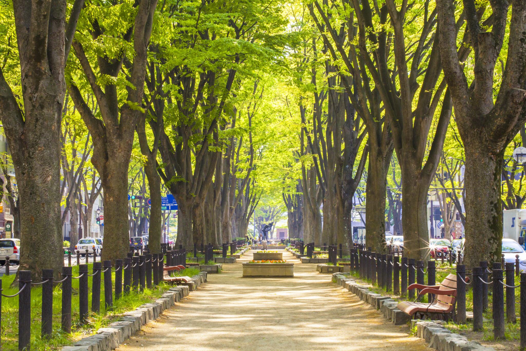 Discovering Sendai: Anime Special Interest Tour - The Hidden Japan